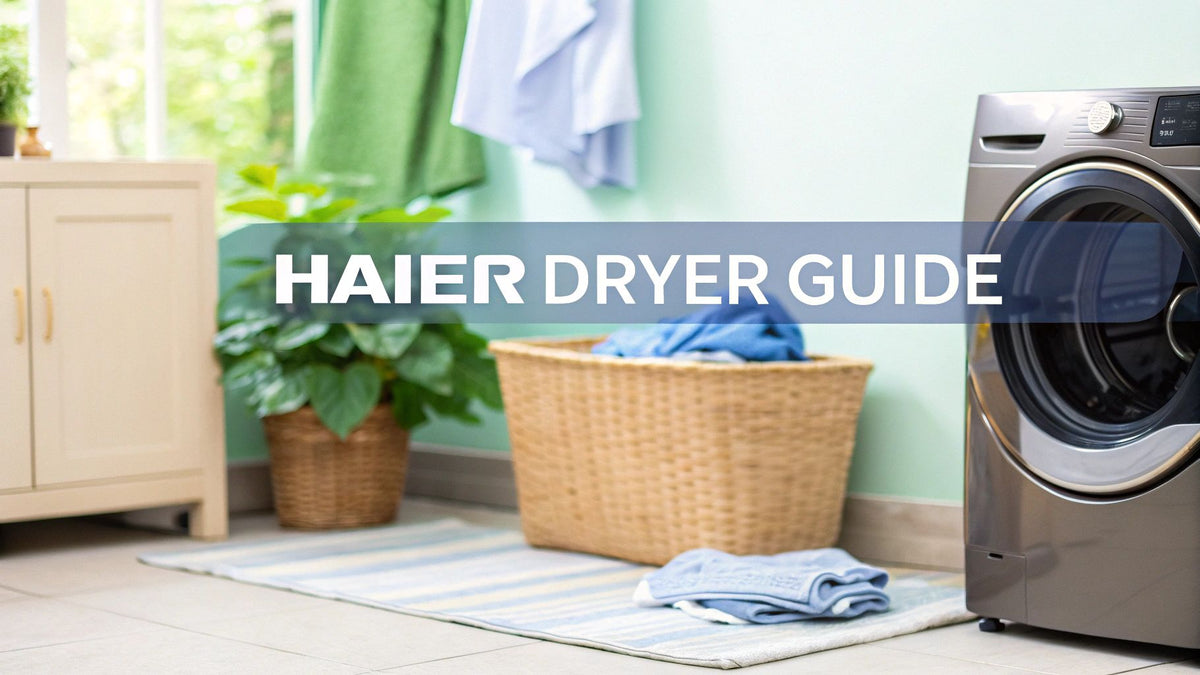 Your Haier Clothes Dryer NZ Buying Guide | Folders NZ
