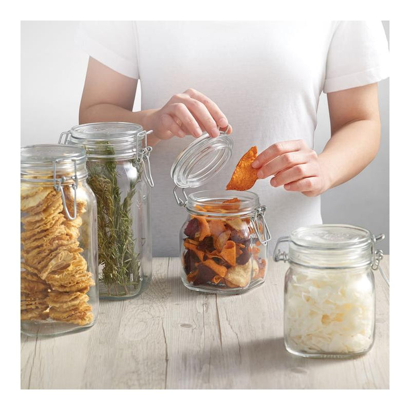 Electronic Dehydrator - Sunbeam Food Lab DT6000 — Folders