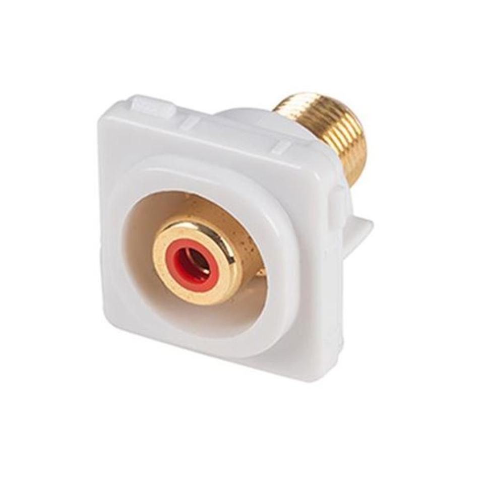 RCA to F Connector - Amdex Red FP-RCAF-RE — Folders